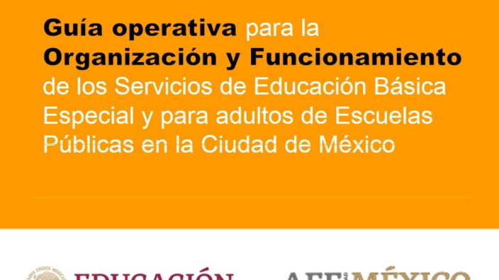 Guía Operativa Para La Organización Y Funcionamiento De Los Servicios