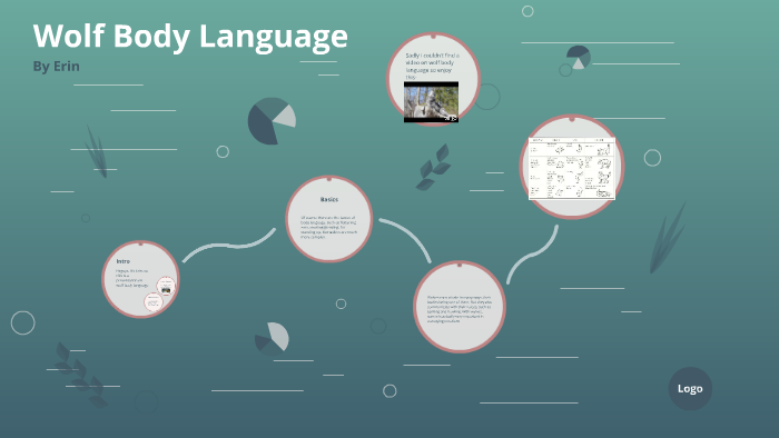 Wolf Body Language by Arin Rogers on Prezi