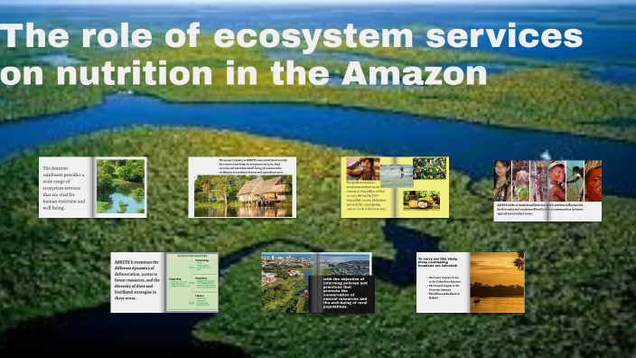 The role of ecosystem services on nutrition in the Amazon by EVELIN ...