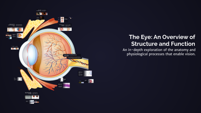 The Eye: An Overview of Structure and Function by Saba Chaudhary on Prezi