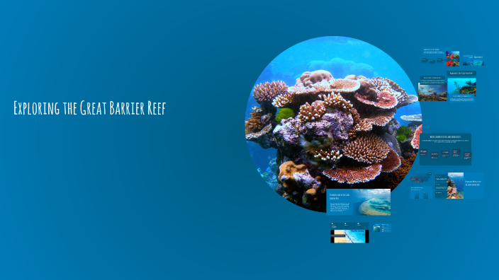 Exploring the Great Barrier Reef: A Comprehensive Overview by Andrew ...