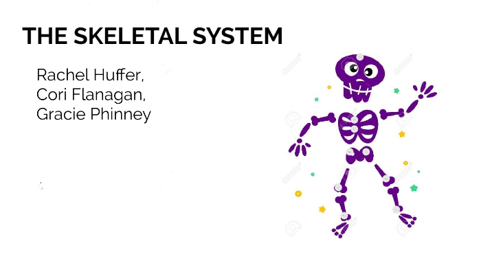 The Skeletal System by Rachel Huffer on Prezi
