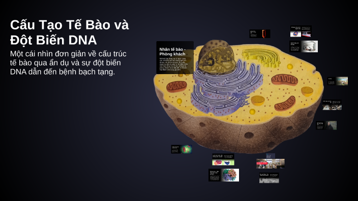 Cấu Tạo Tế Bào và Đột Biến DNA by Neo La on Prezi