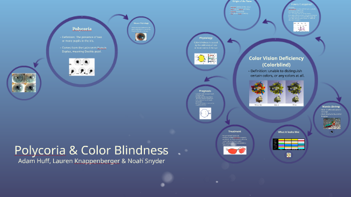 Polycoria by noah snyder on Prezi