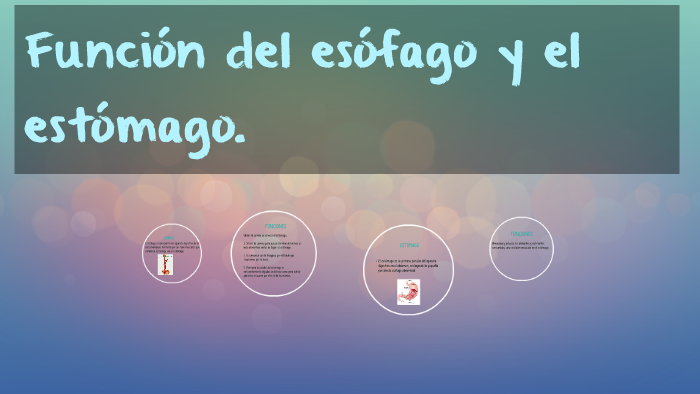 Función del esófago y el estómago. by María Dolores Muñoz Cano on Prezi