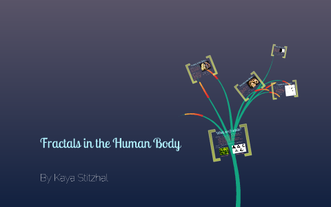Fractals in the Human Body by Kaya Stitzhal on Prezi