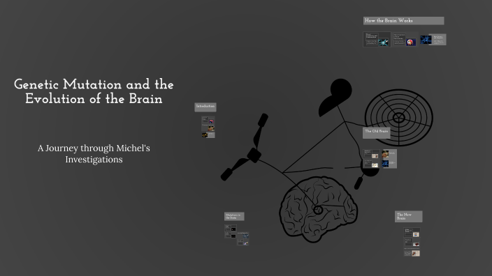 Genetic Mutation and the Evolution of the Brain by Saisha beauvil on Prezi