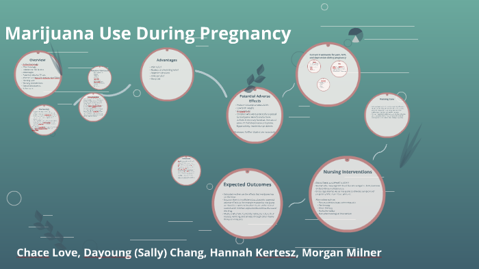 Maternal Marijuana Use in Pregnancy by Morgan Milner on Prezi