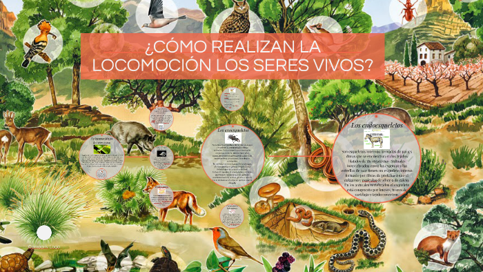 ¿CÓMO REALIZAN LA LOCOMOCIÓN LOS SERES VIVOS? by Liliana Gonzalez on Prezi