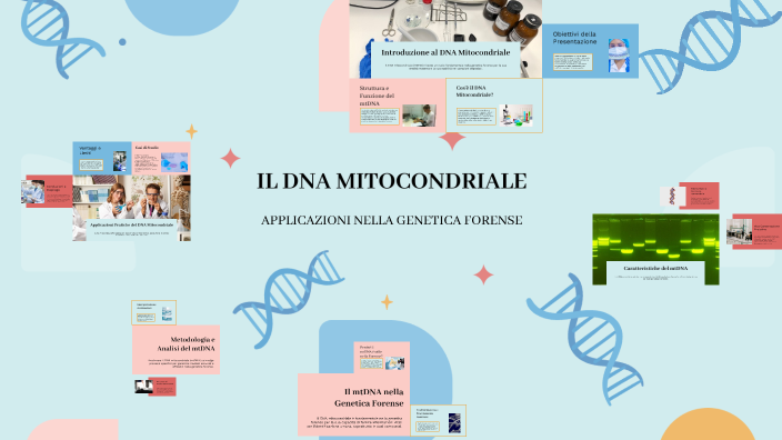 IL DNA MITOCONDRIALE by Noemi Schiena on Prezi