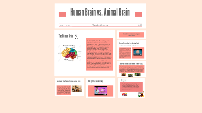 Human Brain vs. Animal Brain by April Fernandez on Prezi