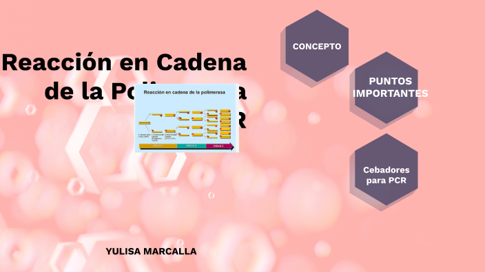 Reacción en Cadena de la Polimerasa PCR by Yuli Marcalla on Prezi
