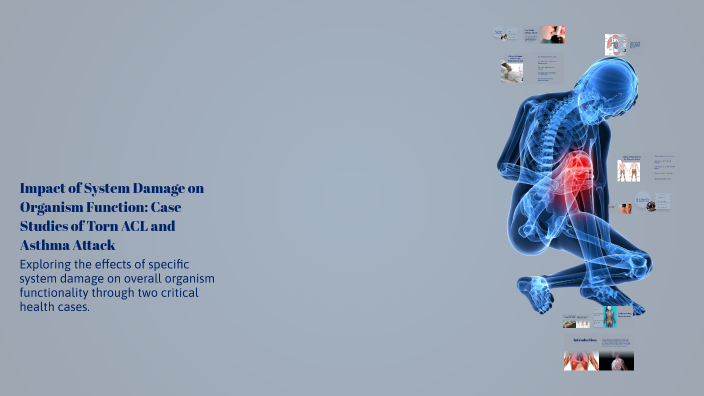 Impact of System Damage on Organism Function: Case Studies of Torn ACL ...