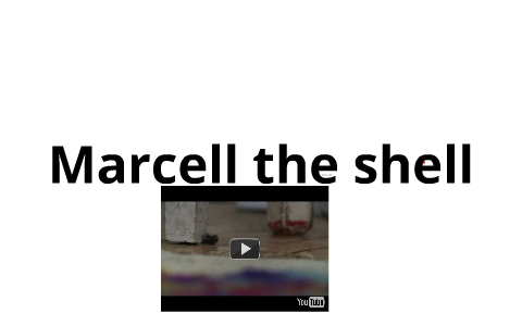 marcell the shell by Marisa Sailus on Prezi