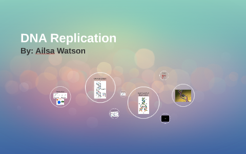 DNA Replication by Ailsa Watson