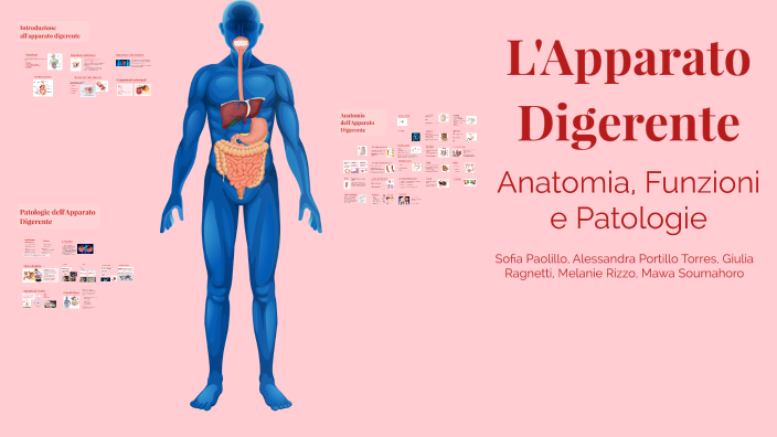 L'Apparato Digerente by Melanie Rizzo on Prezi