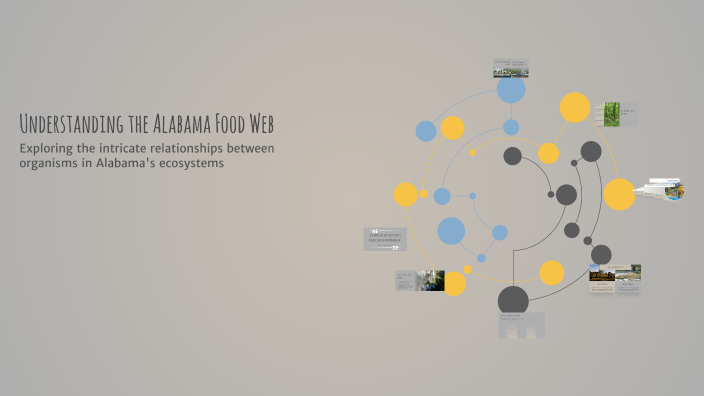Understanding the Alabama Food Web by Nyomi Kim on Prezi