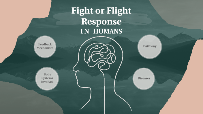 Fight or Flight Response in Humans by maya ganim on Prezi