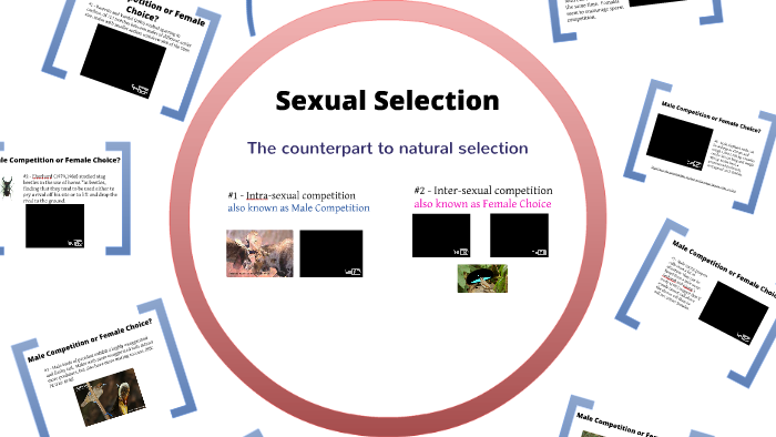 Sexual Selection by Mark Van Arsdale on Prezi