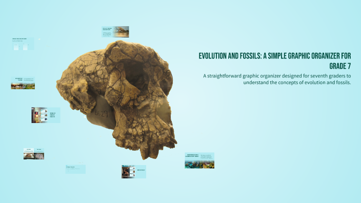 Evolution and Fossils: A Simple Graphic Organizer for Grade 7 by Shobha ...