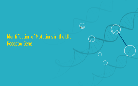 Identification of Mutations in the LDL Receptor Gene by Erica Porter on ...