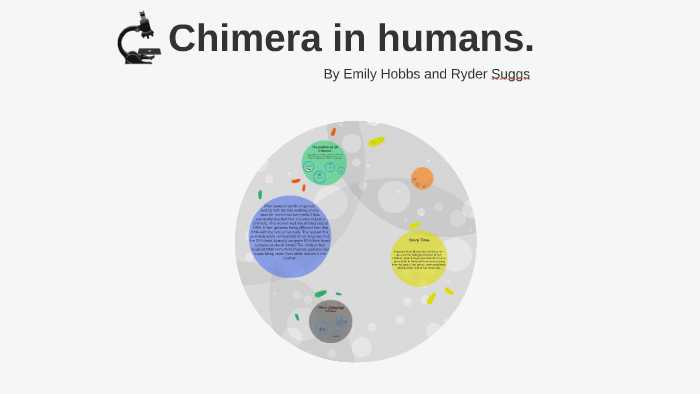 Chimera in humans. by Emily H. on Prezi