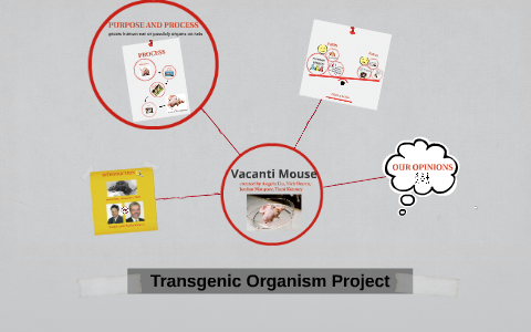Transgenic Organism Project by angela liu on Prezi