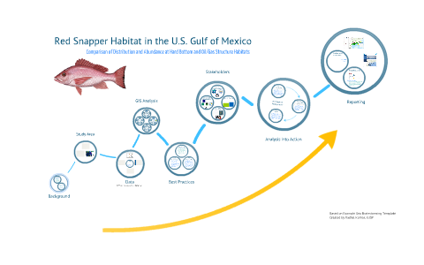 Analysis Proposal: Red Snapper Habitat in the U.S. Gulf of Mexico by Jo ...