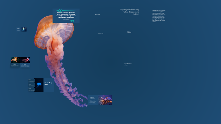 Comparative Anatomy of Ocean Creatures by dylan miller on Prezi