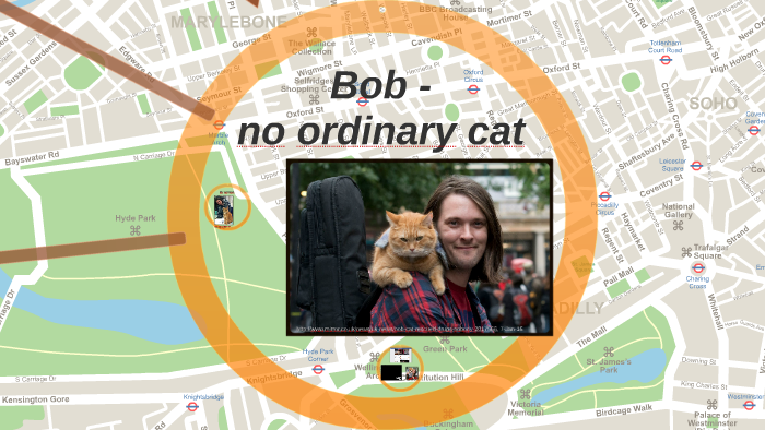 Bob - no ordinary cat by Lena Roth on Prezi