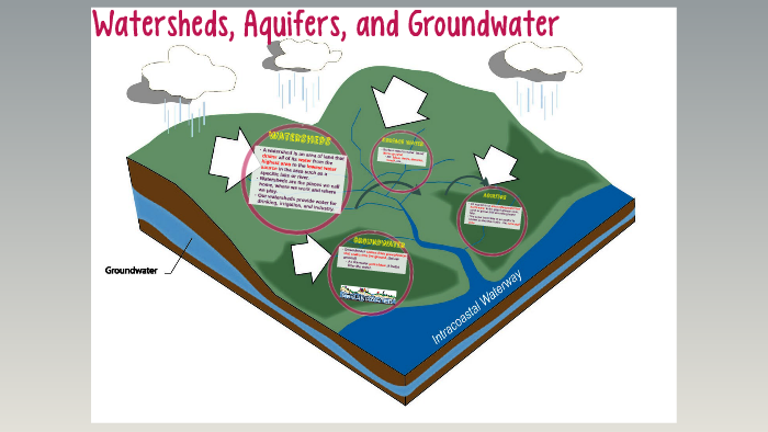 Watersheds, Aquifers, and Groundwater by Michelle Hernandez on Prezi