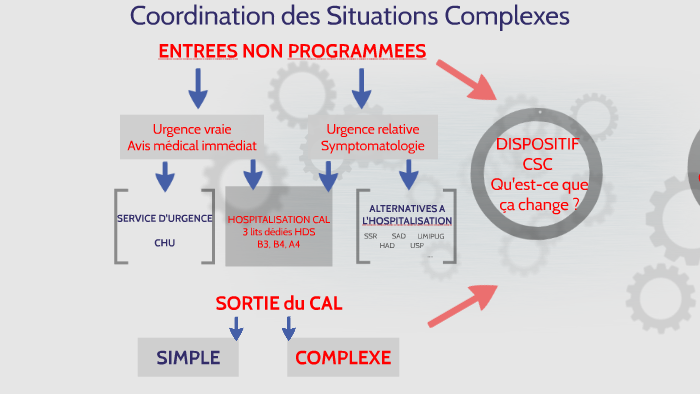 Coordination situations complexes by on Prezi