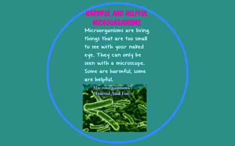 Harmful and Helpful microorganisms by Ashleigh Baston on Prezi