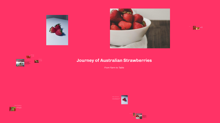 Journey of Australian Strawberries by Jack Walkley on Prezi