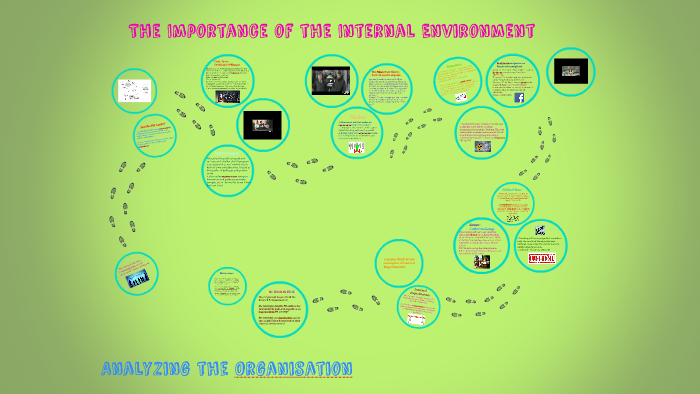 The Importance of the Internal Environment by M K on Prezi