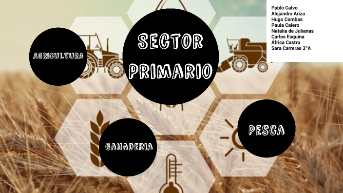 SECTOR PRIMARIO by Pablo Calvo on Prezi