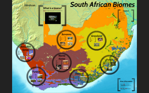South African Biomes by Lizanne Mouton on Prezi
