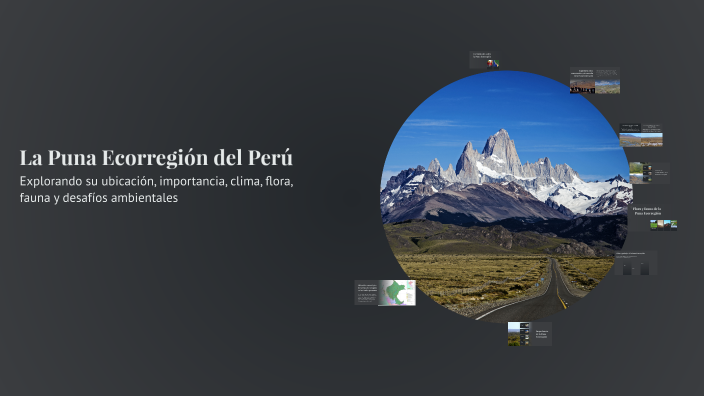 La Puna Ecorregión del Perú by Fabian Anicama on Prezi
