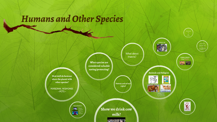 Humans and Other Species by Global Perspectives on Prezi