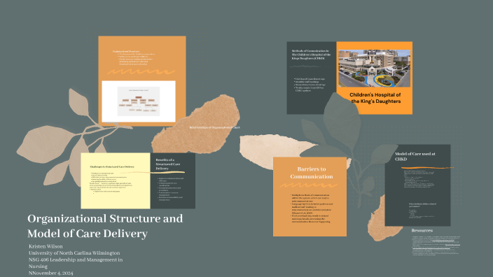 Organizational Structure and Model of Care Delivery by Kristen Wilson ...