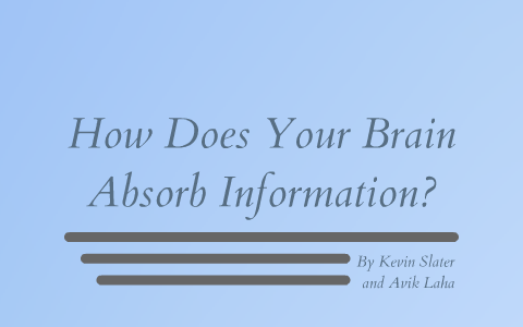 How Does Your Brain Absorb Information? by Kevin Slater on Prezi