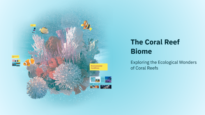 The Coral Reef Biome by J'ANI NEDEDOG on Prezi