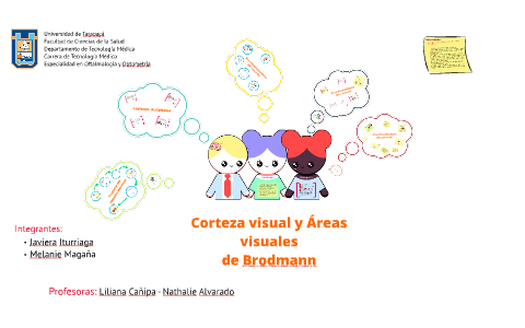 Corteza visual y Áreas by Melanie Magaña
