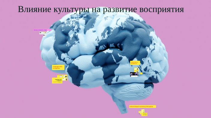How Culture Influences Perception Development by Vall Po on Prezi