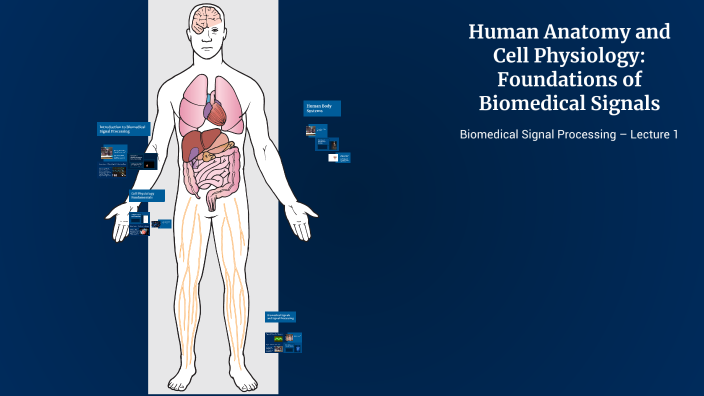 Human Anatomy and Cell Physiology: Foundations of Biomedical Signals by ...
