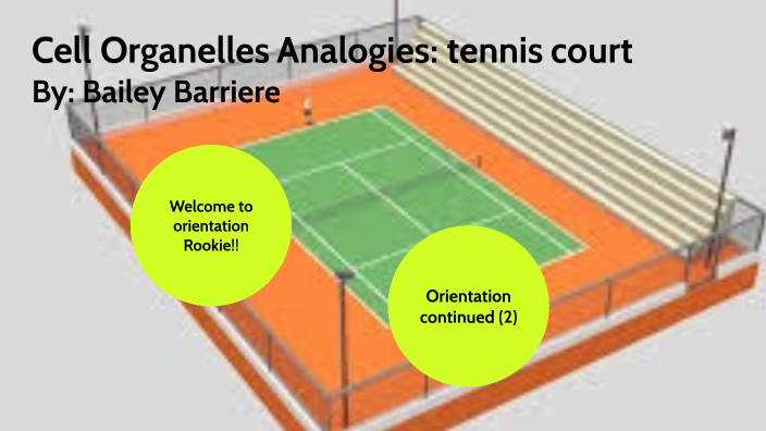 Cell Organelles Analogies: tennis court by Bailey Barriere on Prezi