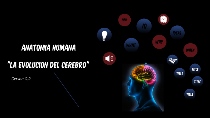 Evolucion del Cerebro Humano by Gerson Garcia on Prezi