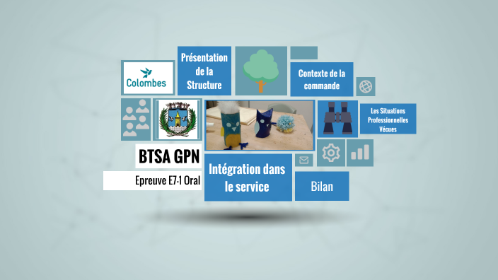 BTSA GPN - Epreuve E7-1 Oral by Hebert Elyne on Prezi