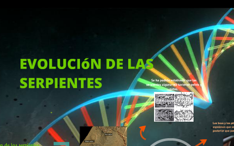 Evolución De Los Reptiles by Yulián Acosta on Prezi
