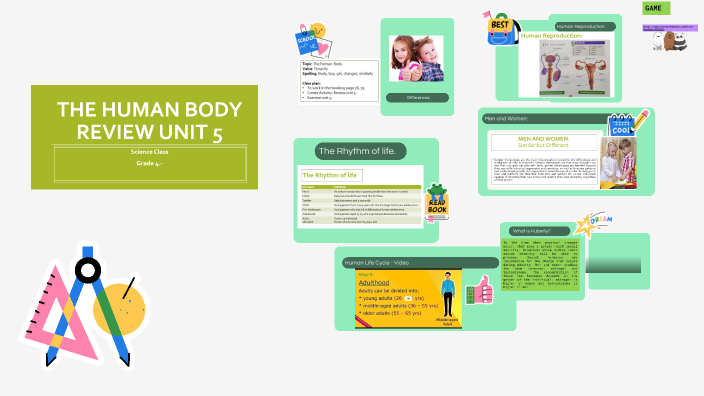The Human body - Grade 4 - by isabella trujillo on Prezi